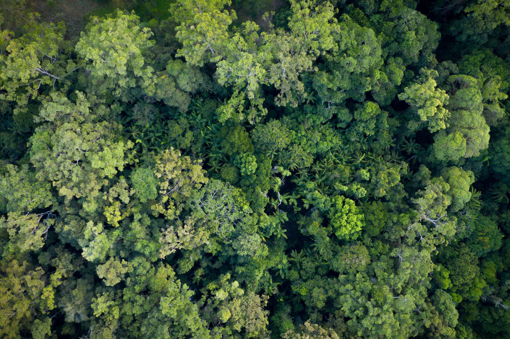 Hinterland Travel Guide: Explore Hidden Gems & Adventure Hotspots