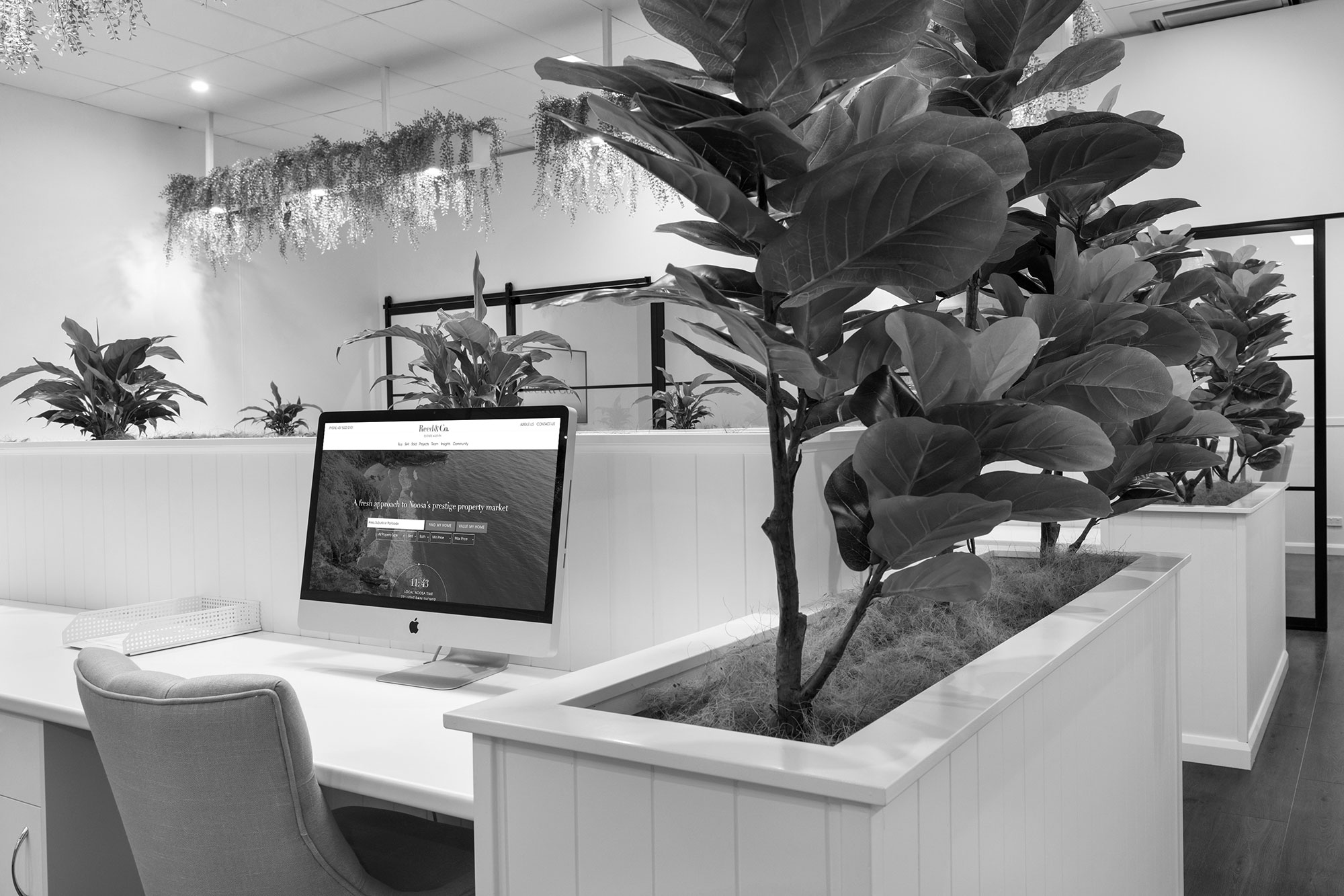 Collaborative Services - Reed & Co